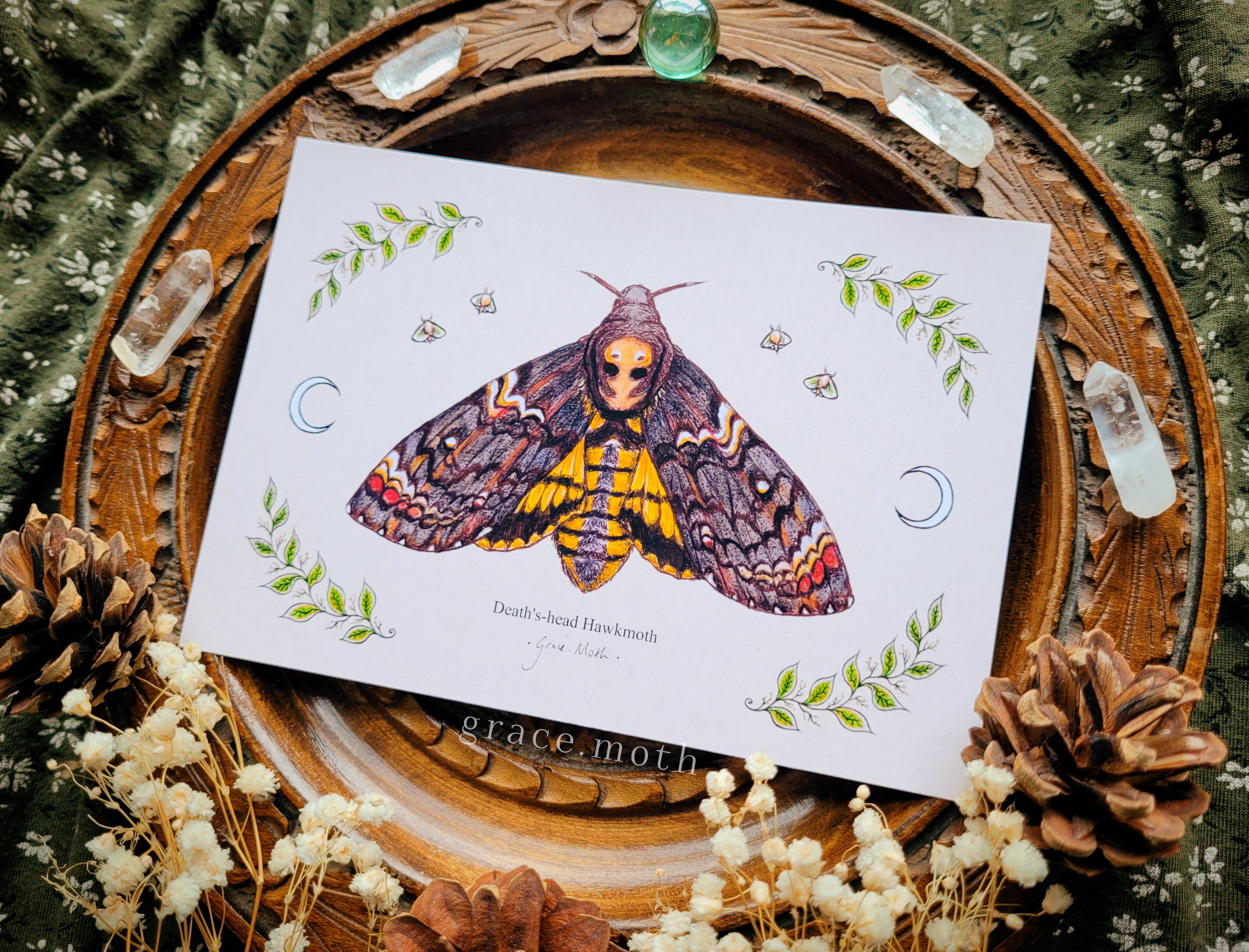 Art Prints – Grace Moth