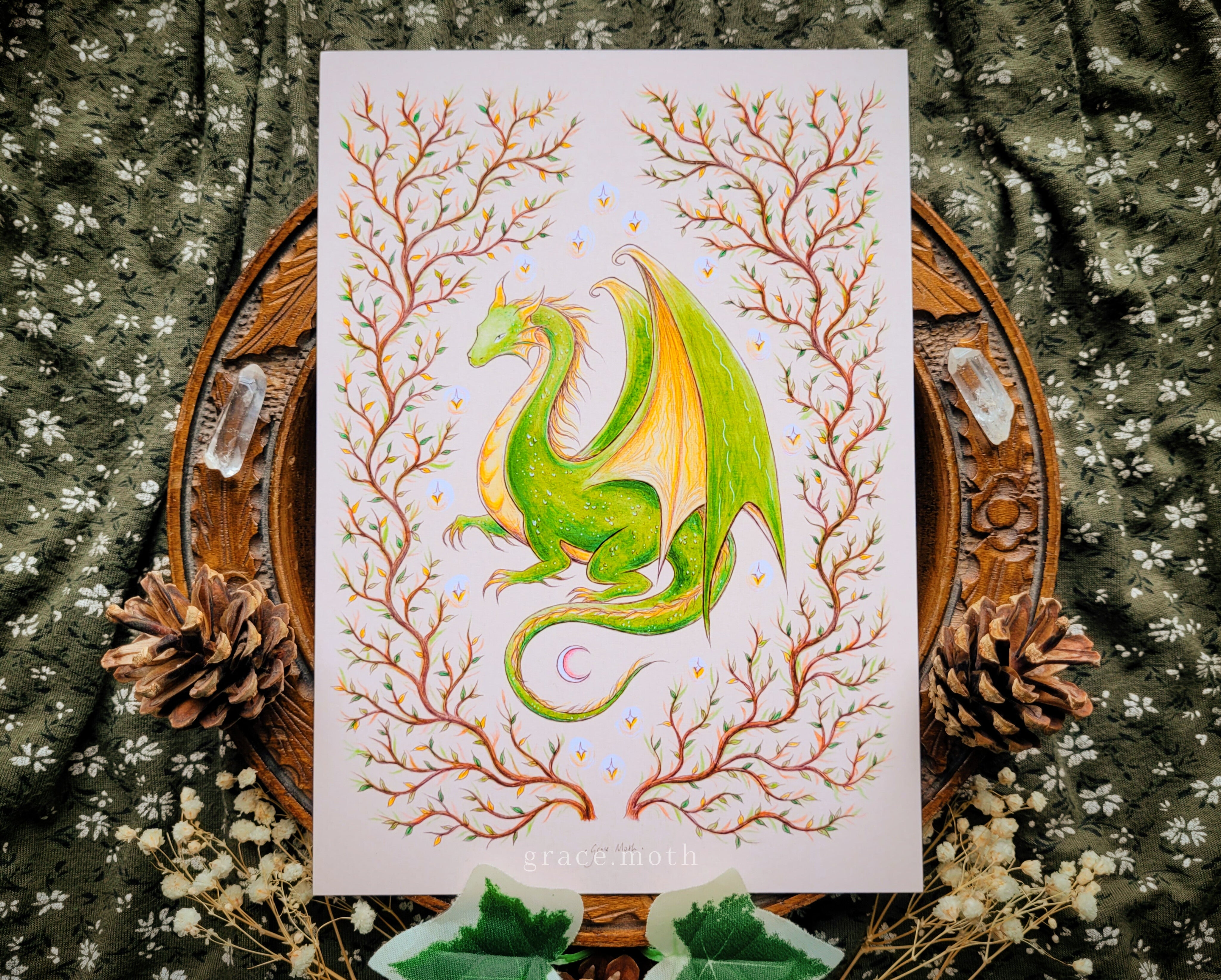 Shop All – Grace Moth